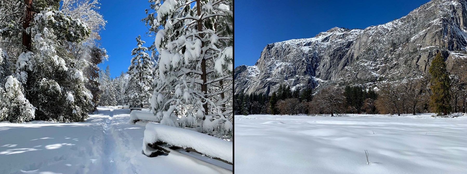 A Winter's Tale - Yosemite National Park in the Snow | Paul Reiffer ...