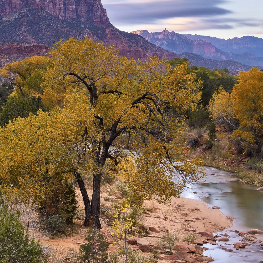 first light - buy the limited edition fine art print online