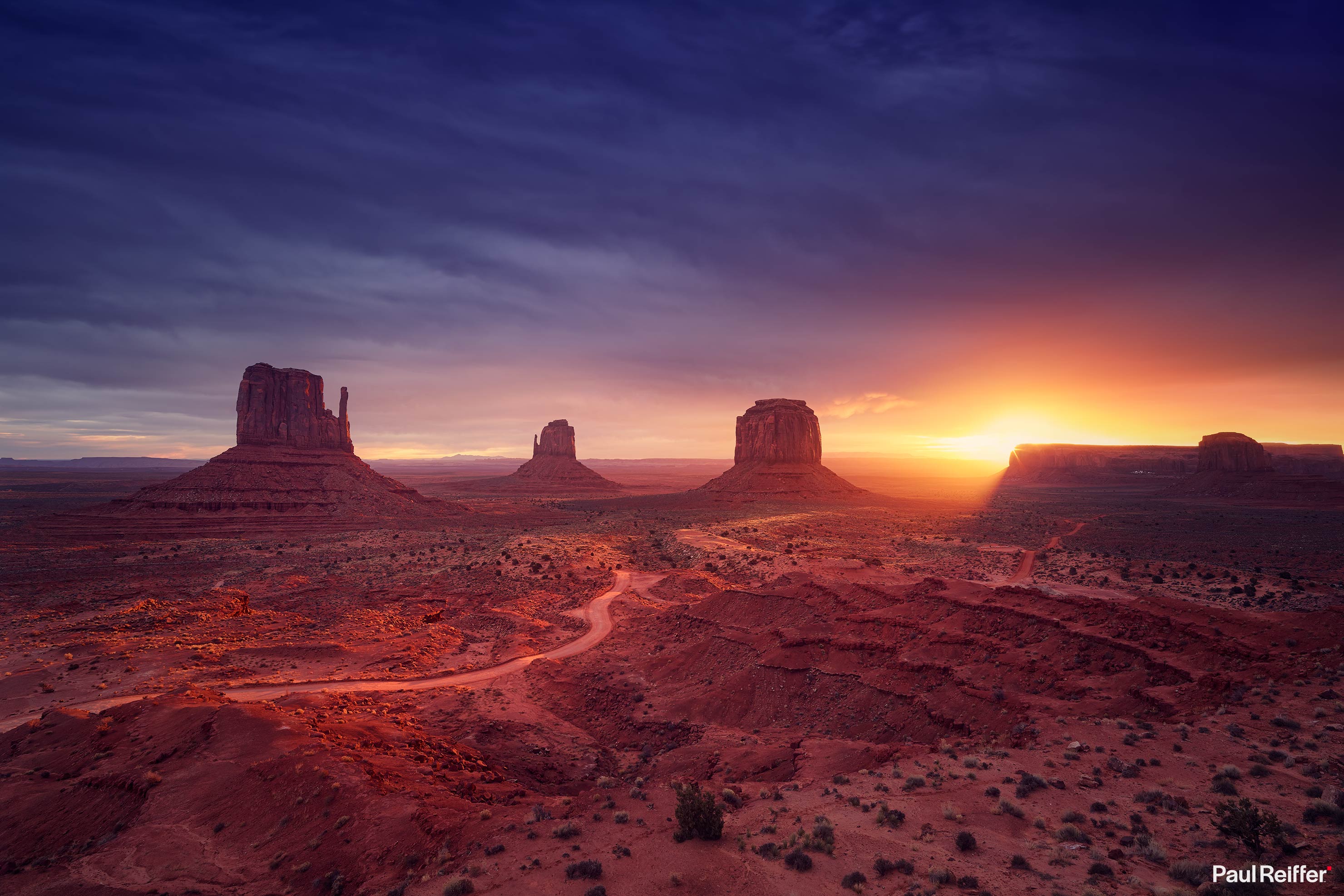 golden | design collection | Paul Reiffer - Photographer